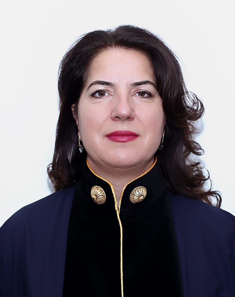 Remzije Istrefi-Peci - Constitutional Court