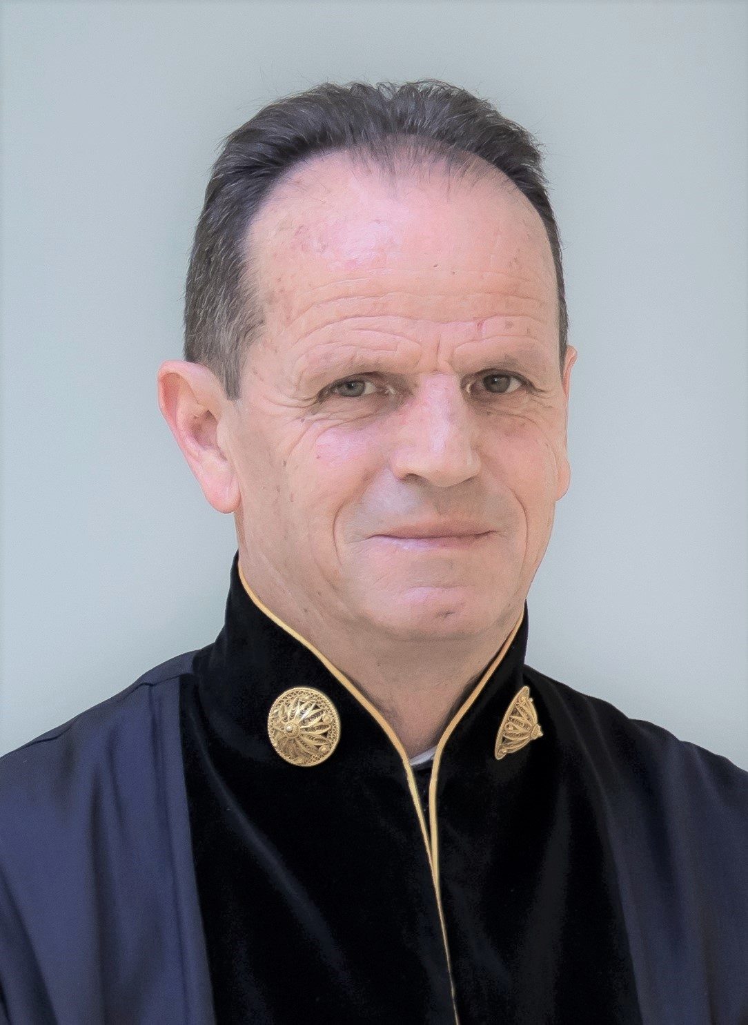 Enver Peci - Constitutional Court