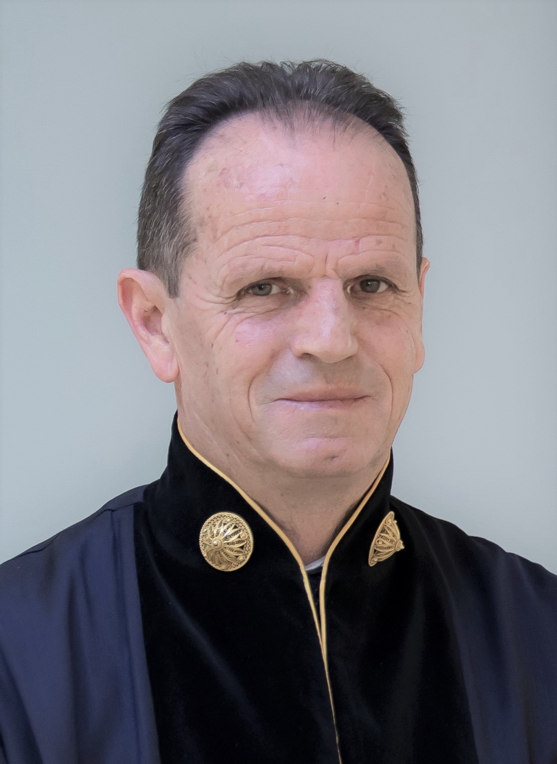 Enver Peci - Constitutional Court